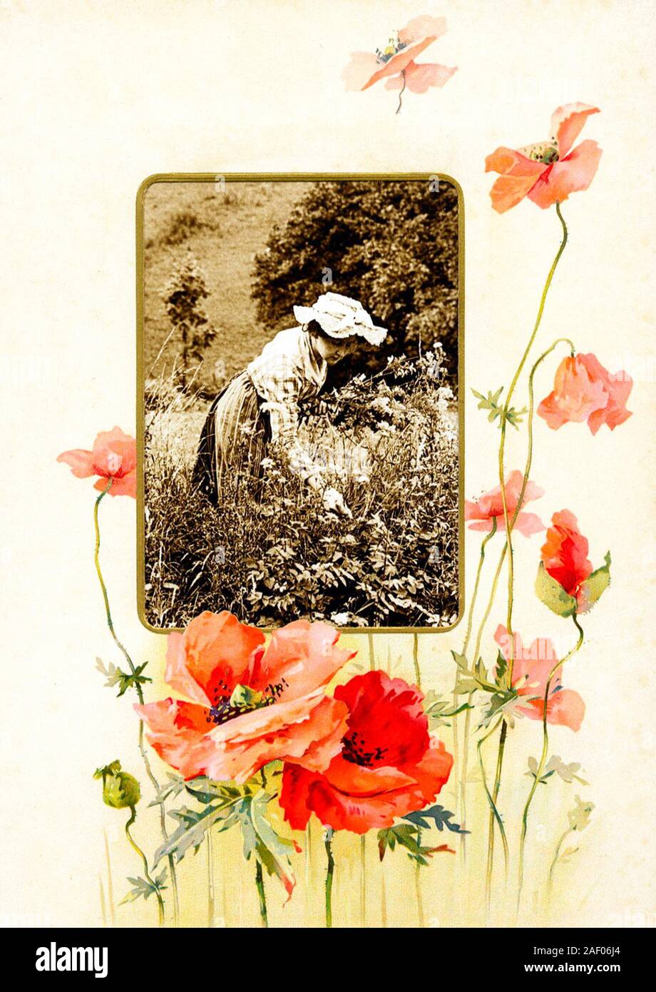 Victorian floral greetings card design, A6 size, No. 3 Stock Photo - Alamy