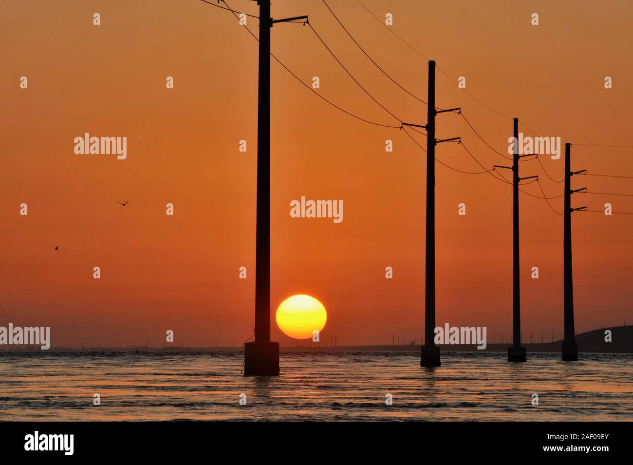 Electrical power lines above the Atlantic Ocean, silhouetted, during ...