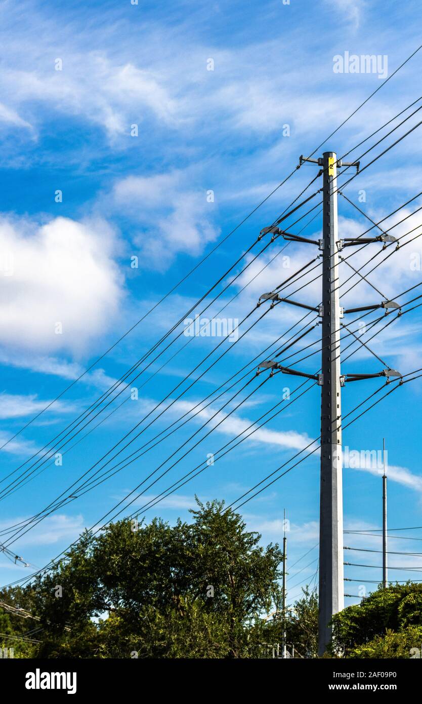 South Carolina Power Lines
