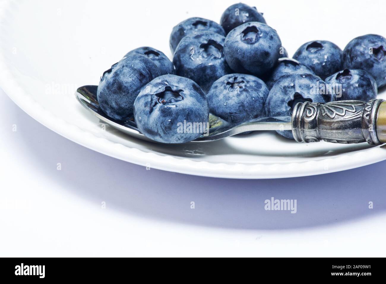 Blueberries on a plate on white background Stock Photo - Alamy