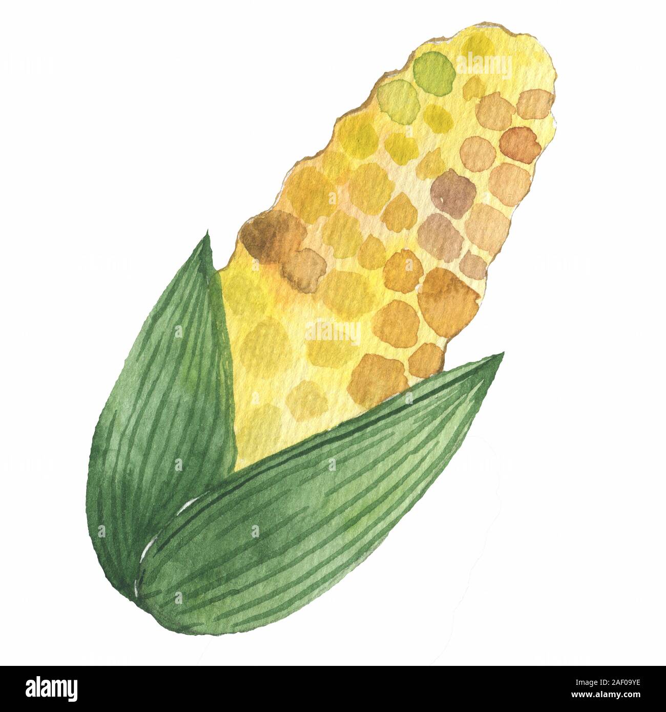 Very high quality original trendy illustration of sweet golden corn ...