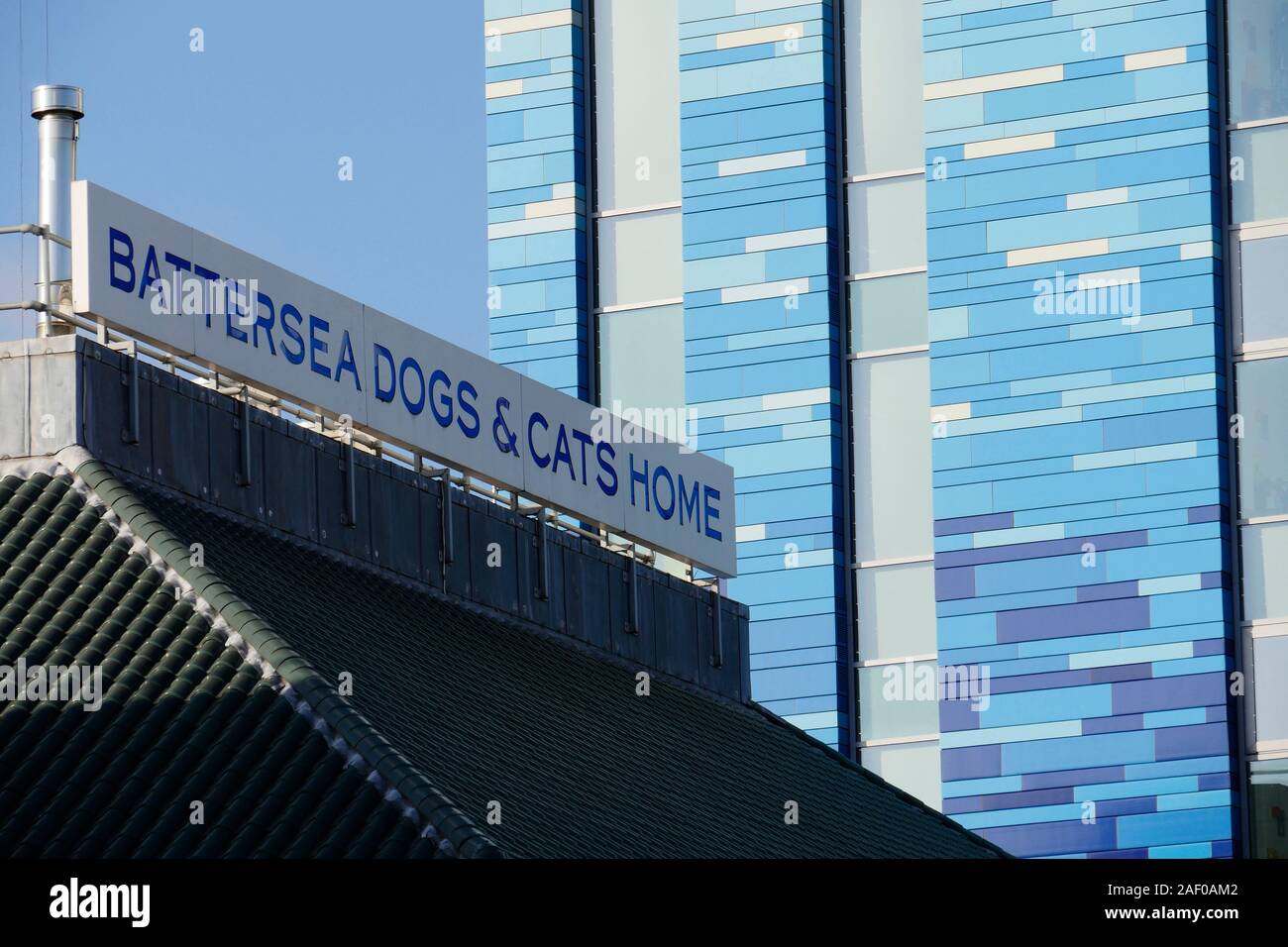 Battersea dogs cats home hi-res stock photography and images - Alamy