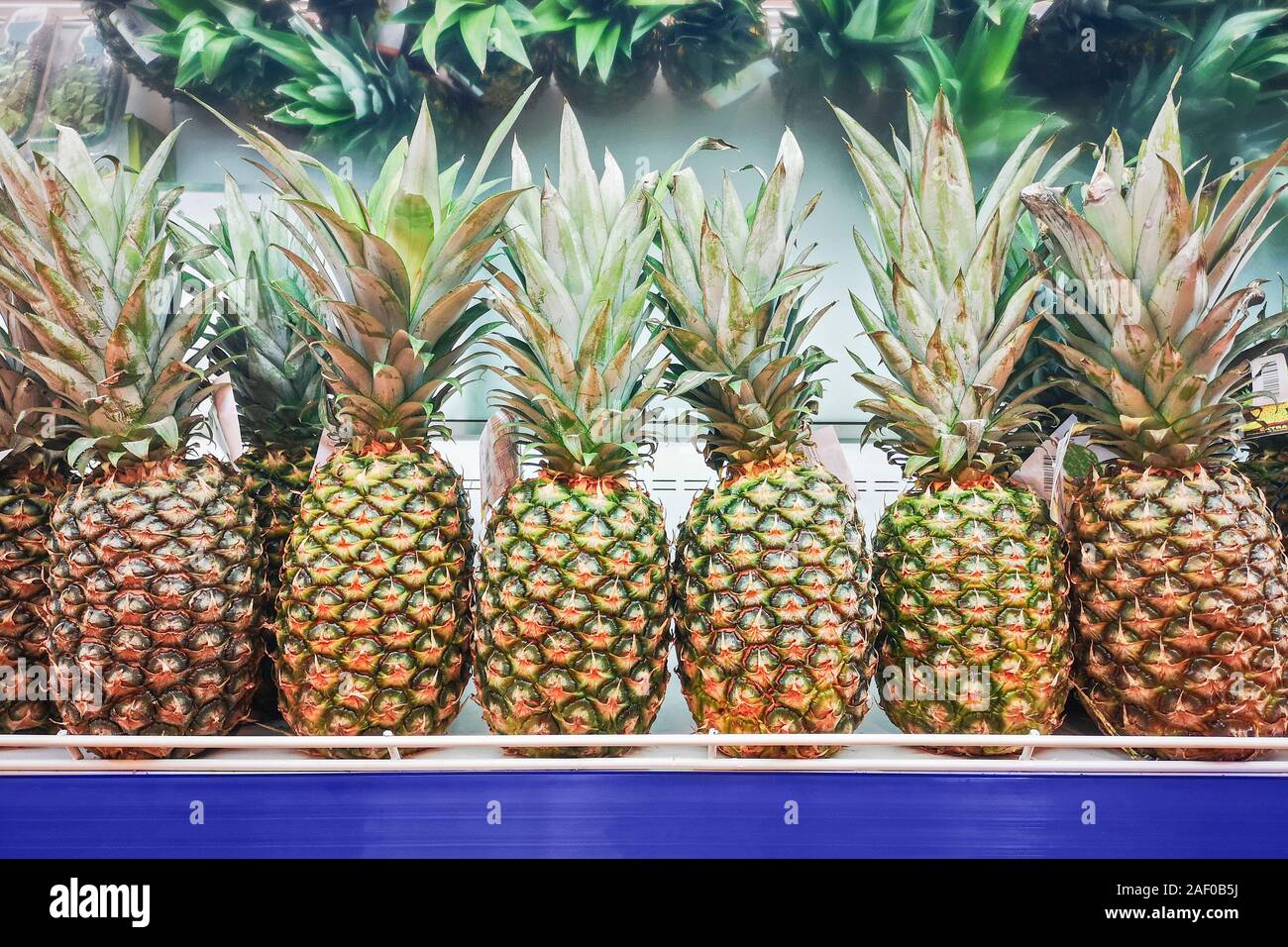 Pineapple fruits in a supermarket. Fresh pineapples on supermarket ...