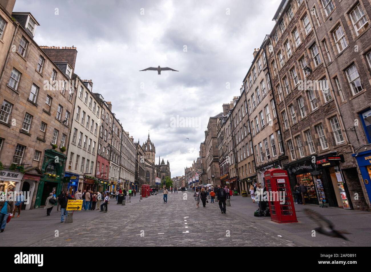 Pedestrian street of High St with pigeon flying, Edinburgh, Scotland ...