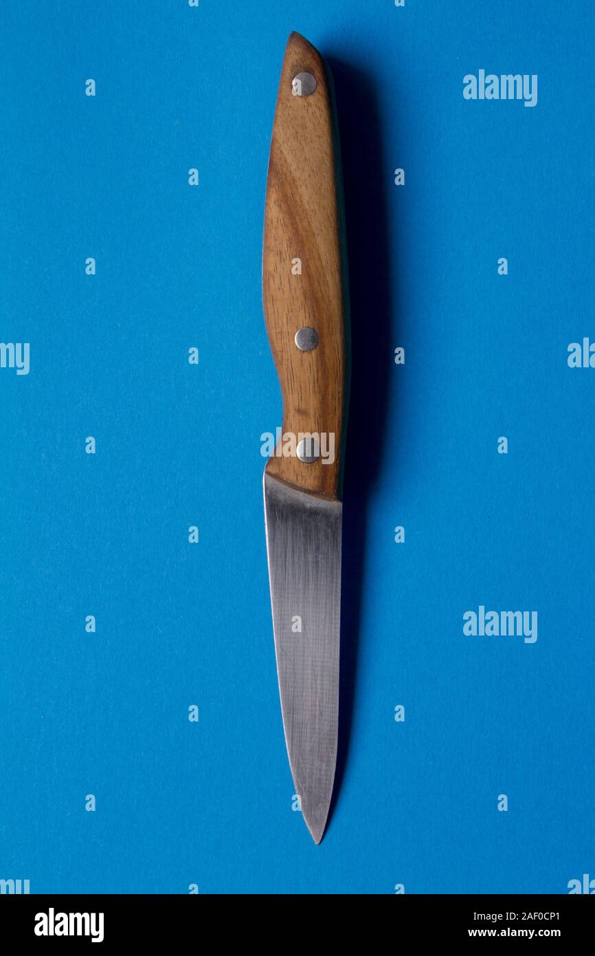 Plain knife with wooden handle isolate on a blue surface, background or ...
