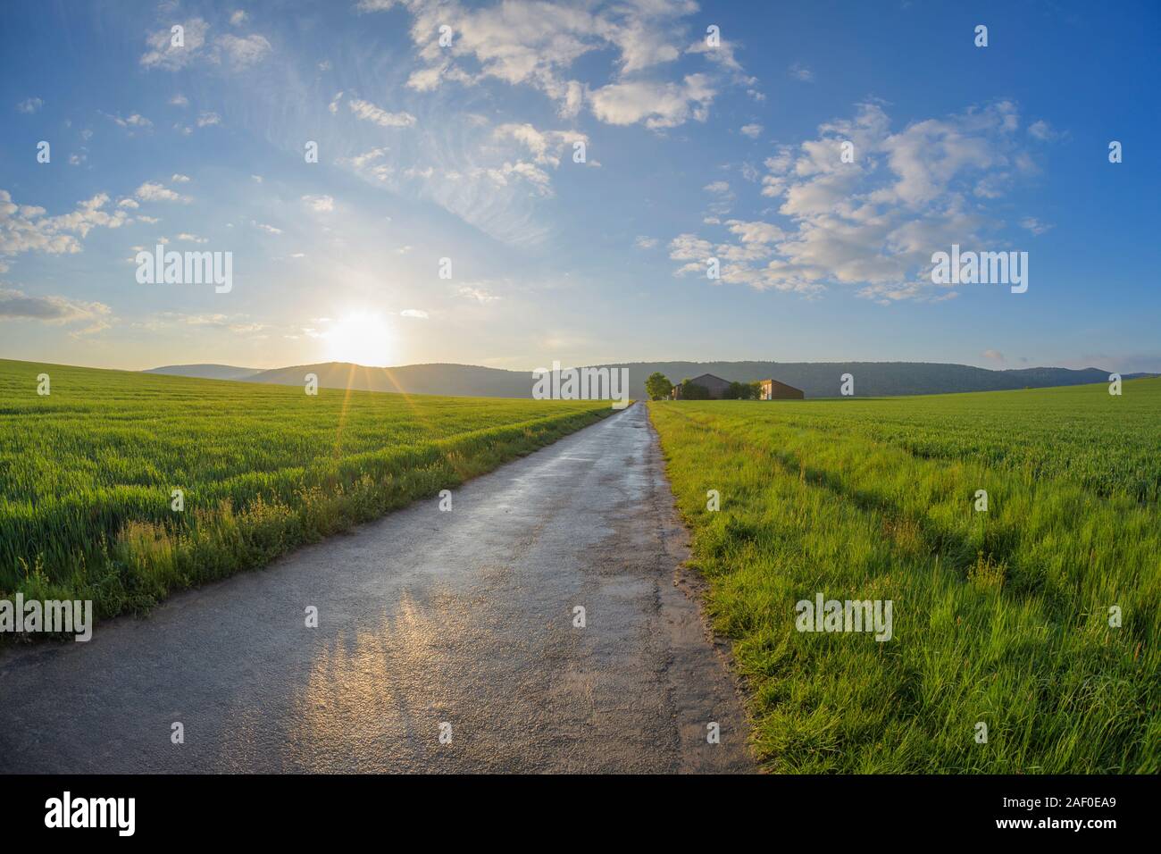 Field landscape with road and sun in spring Stock Photo - Alamy