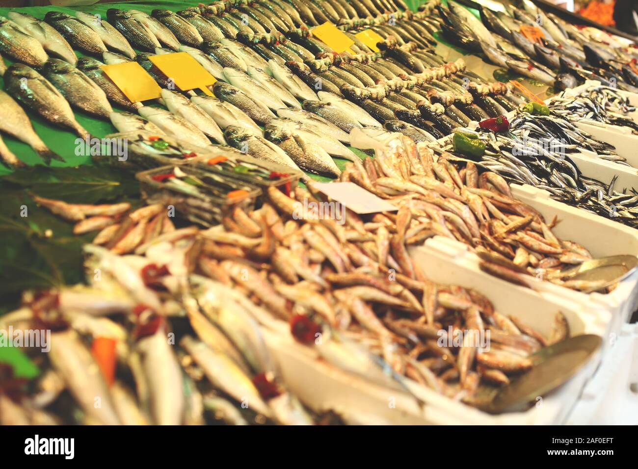 Fresh fish at the market with different fish Stock Photo - Alamy
