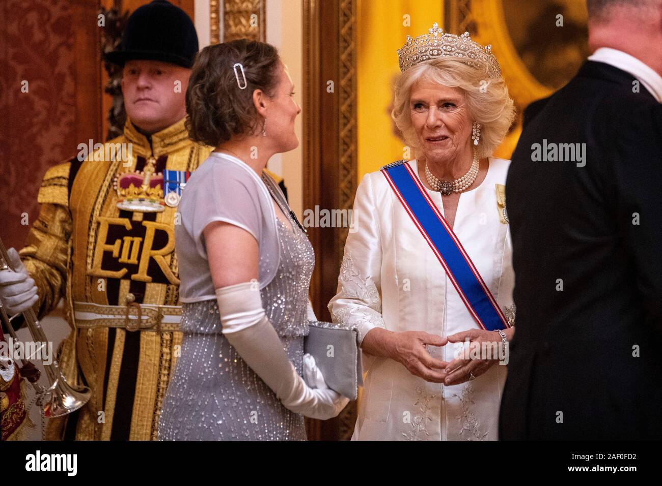 The Duchess of Cornwall at an evening reception for members of the ...
