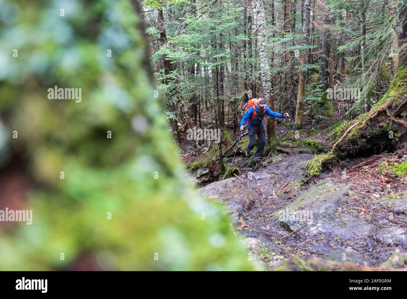 Hiker heading up trail hi-res stock photography and images - Alamy