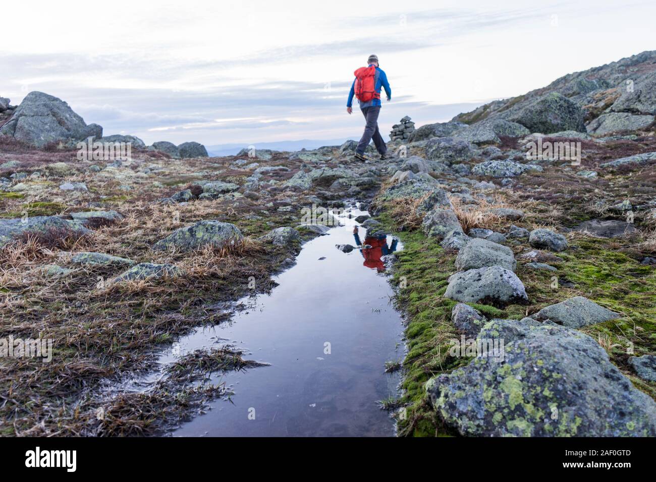 Hiker walking past reflection in puddle Stock Photo - Alamy