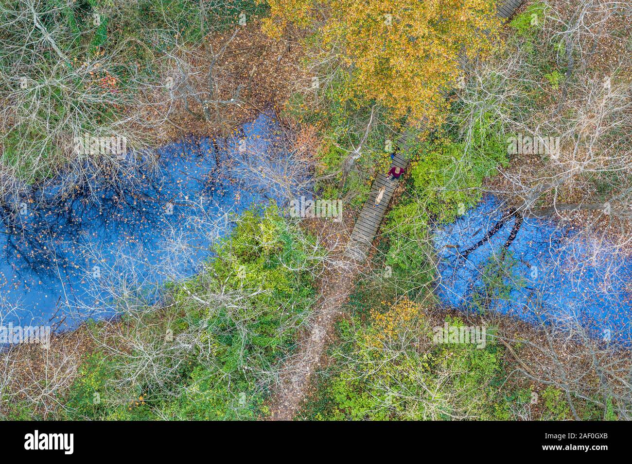Man and dog, Clyde Shepherd Nature Preserve, Decatur, Georgia Stock ...
