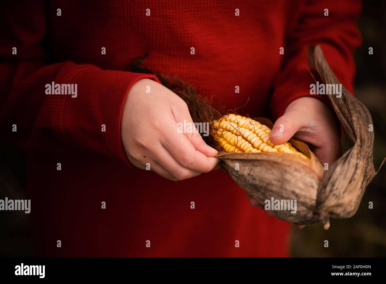 Outside husk hi-res stock photography and images - Alamy