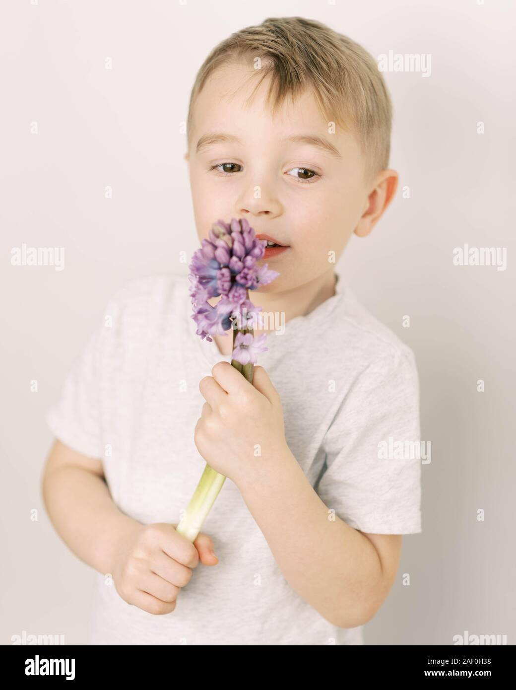 Pretty plant hi-res stock photography and images - Alamy