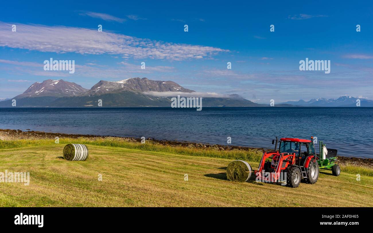 BAKKEJORD, KVALØYA ISLAND, TROMS, NORWAY - Farmer and farm tractor with ...