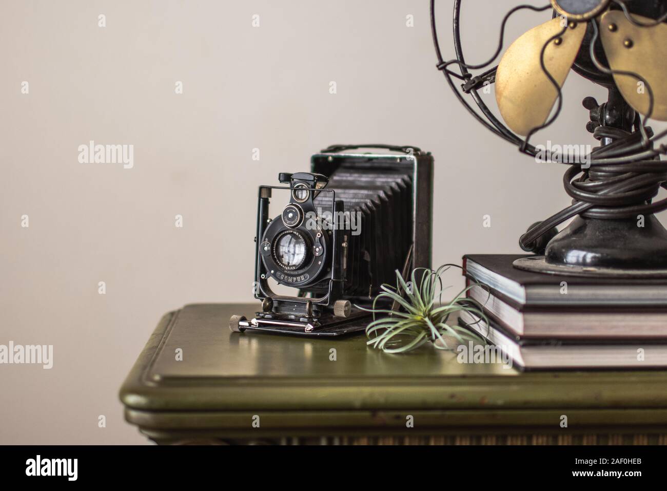 Kodak Film Camera High Resolution Stock Photography and Images - Alamy