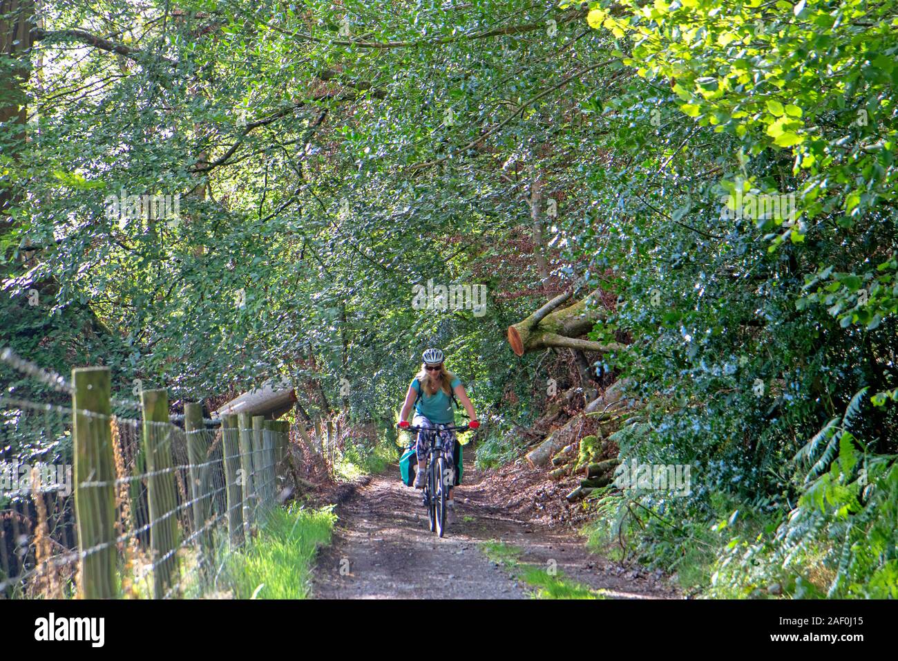 Wye valley wales bicycle hi-res stock photography and images - Alamy