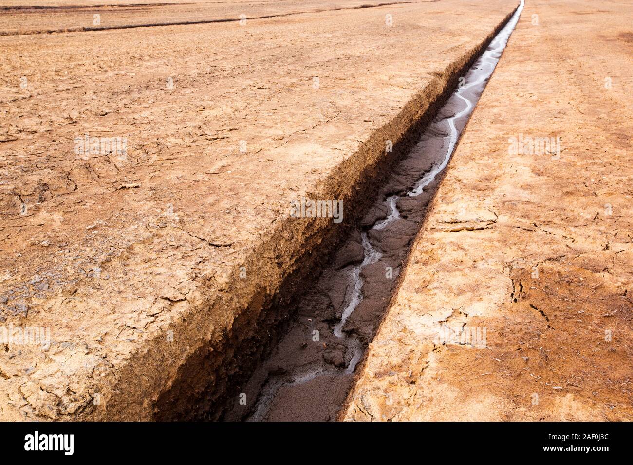 A raised bog being harvested for peat near Douglas water in the ...