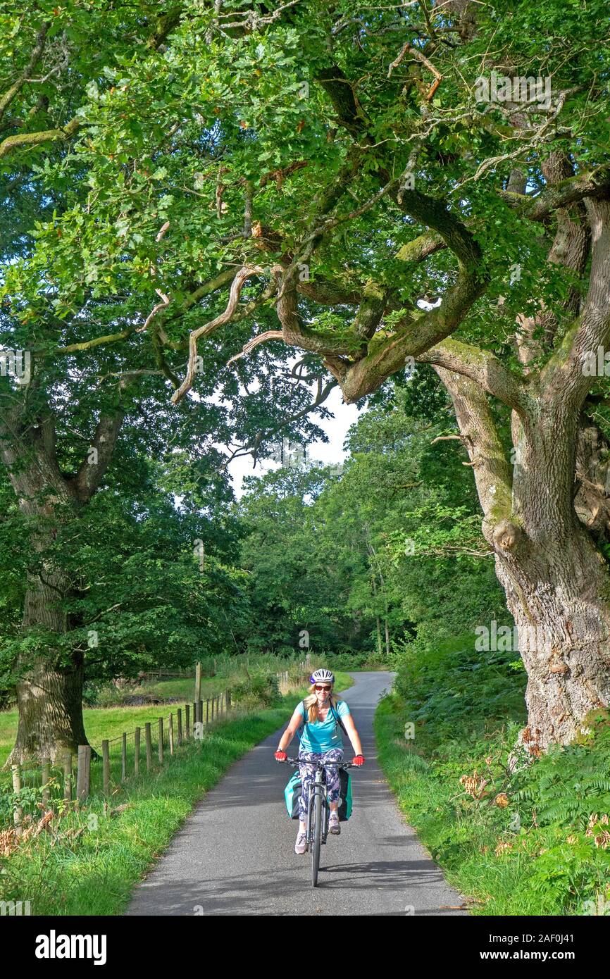 Cycling in the Wye Valley out of Bulith Wells, part of the Lon Las ...
