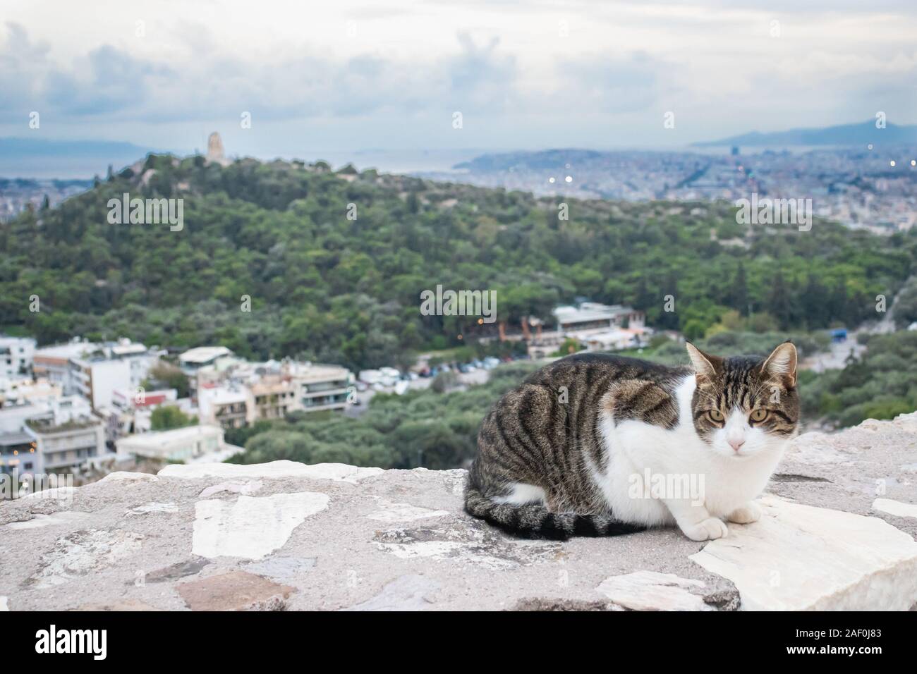 Acropolis against the city of athens hi-res stock photography and ...