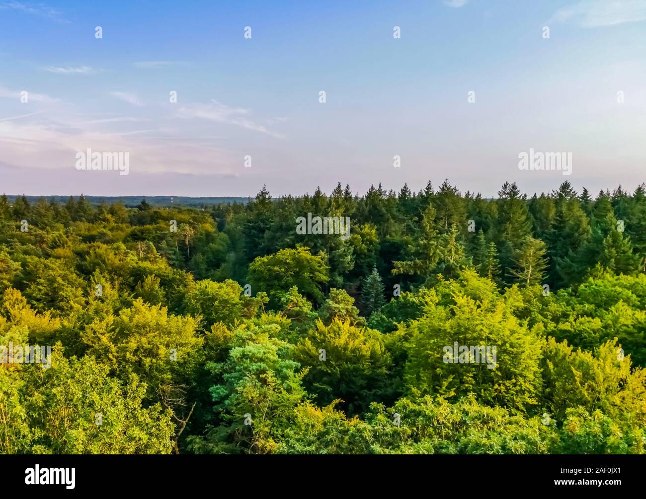 beautiful skyline of the berg en bos city park in apeldoorn, the ...