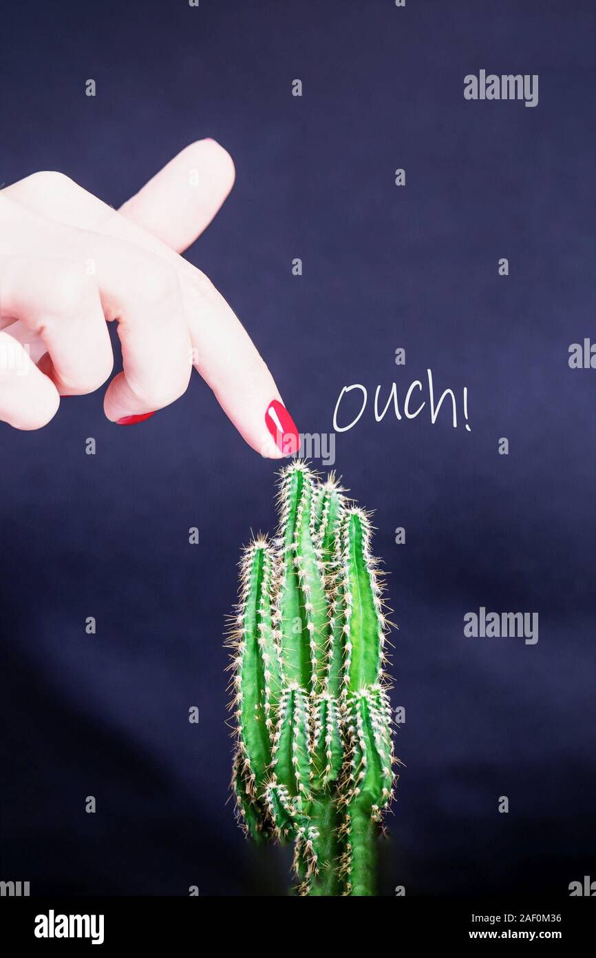 Female hand with red nail polish and green cactus. Ouch. Prickly prick ...