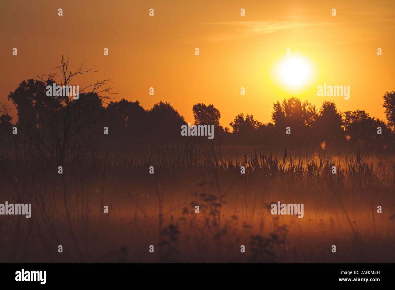 Sunrise in spring countryside hi-res stock photography and images - Alamy