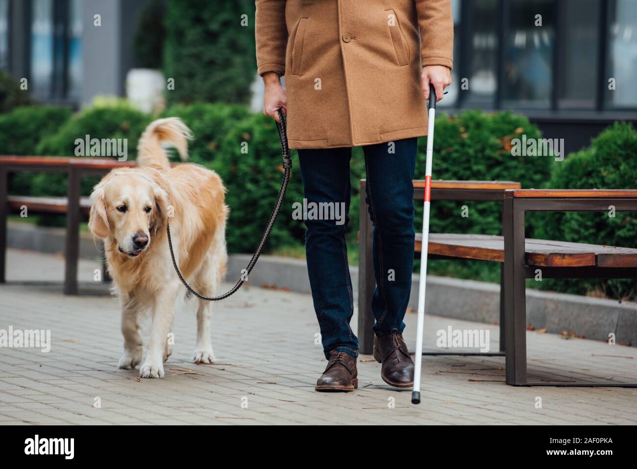 Blind man guide dog hi-res stock photography and images - Alamy