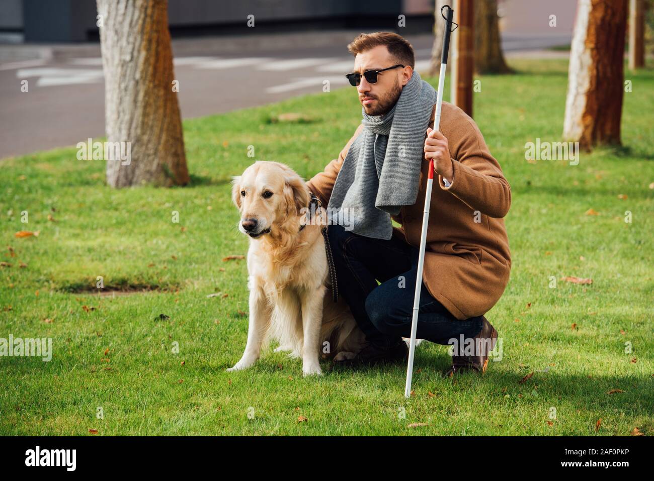 Blind man guide dog on hi-res stock photography and images - Alamy