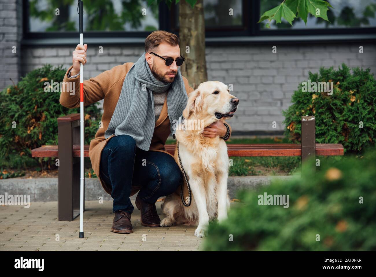 Blind man with walking stick hugging guide dog on street Stock Photo ...
