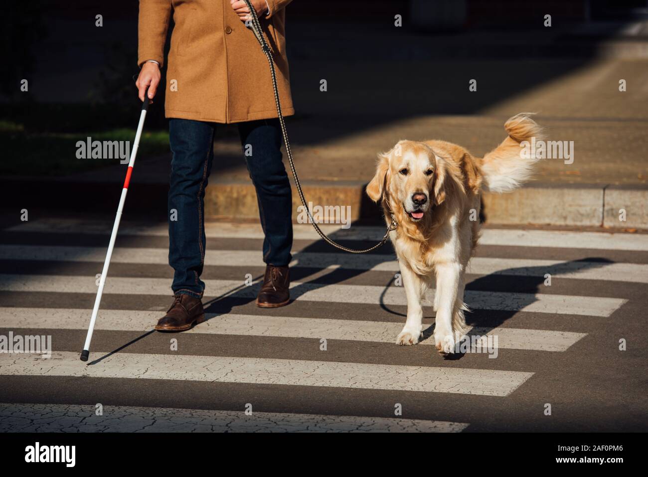 Blind man walking guide dog hi-res stock photography and images - Alamy