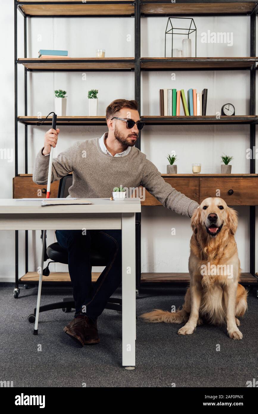 Blind person golden retriever hi-res stock photography and images - Alamy