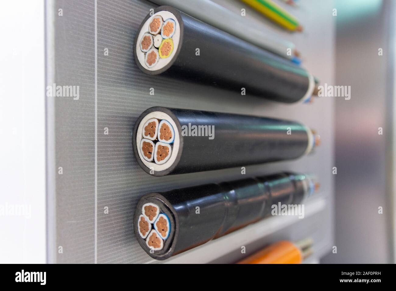 Cross section of high-voltage cable. Thick copper veins are surrounded ...
