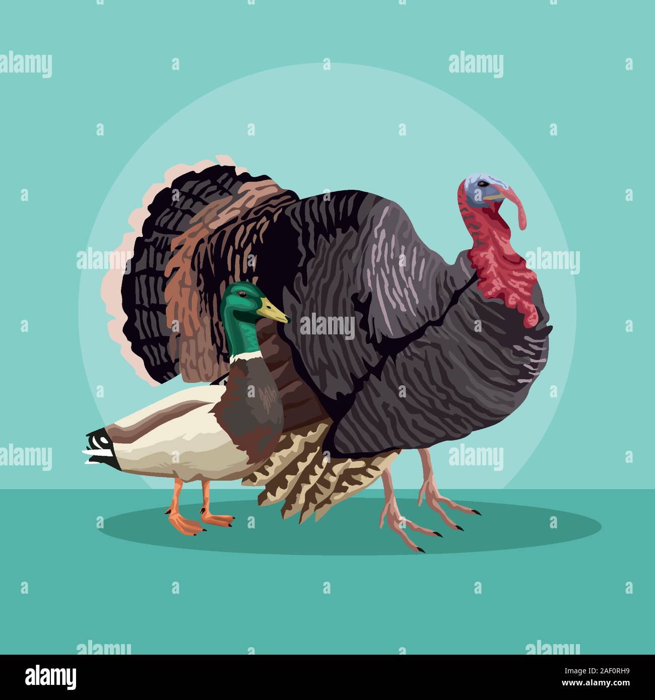 Turkey domestic animals Stock Vector Images - Alamy