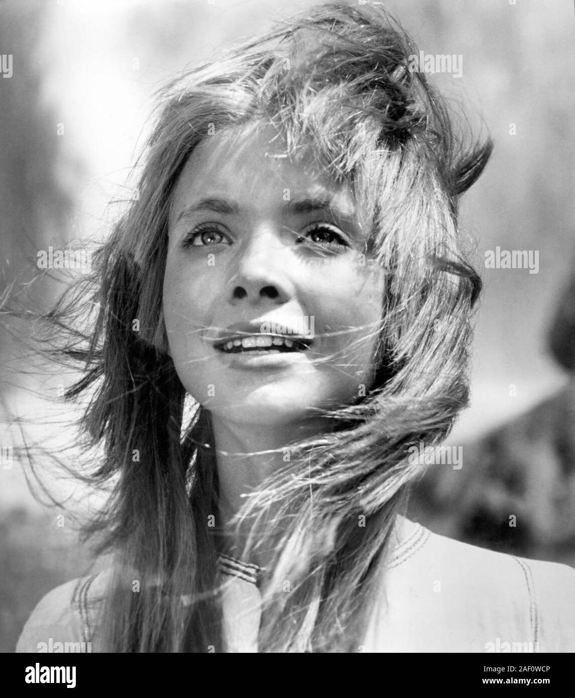 Judi bowker hi-res stock photography and images - Alamy