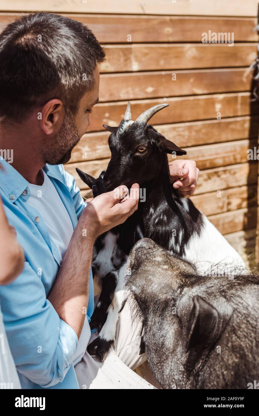 Boar goats hi-res stock photography and images - Alamy