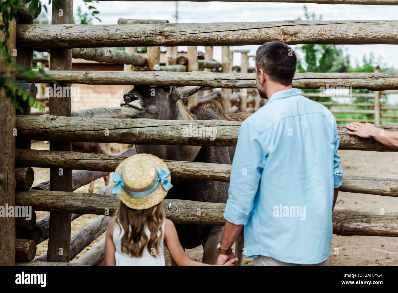 back view of father and child in straw hat standing near fence with ...