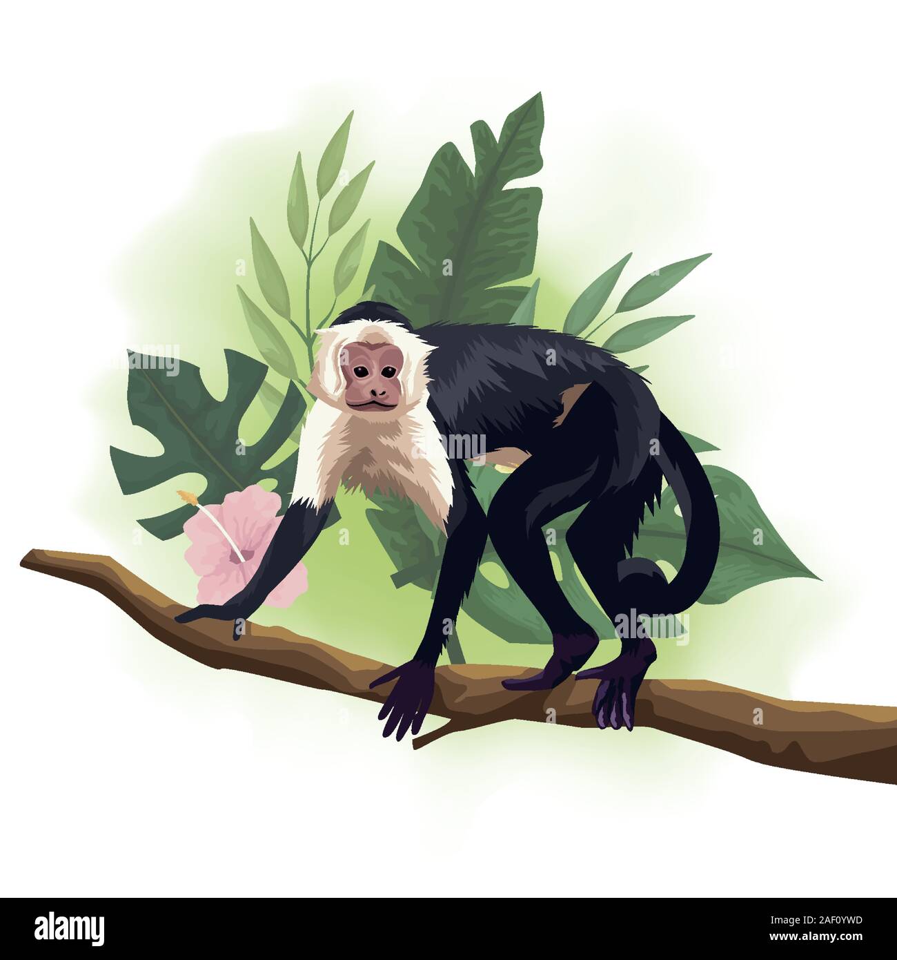 wild Capuchin monkey in tree branch scene Stock Vector Image & Art - Alamy