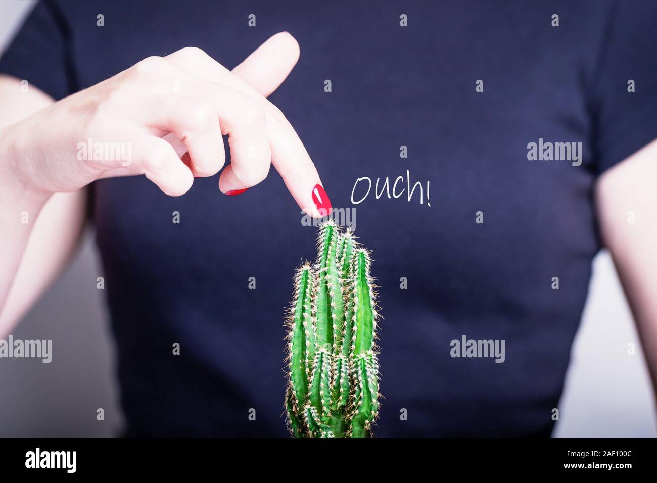 Female hand with red nail polish and green cactus. Ouch. Prickly prick ...