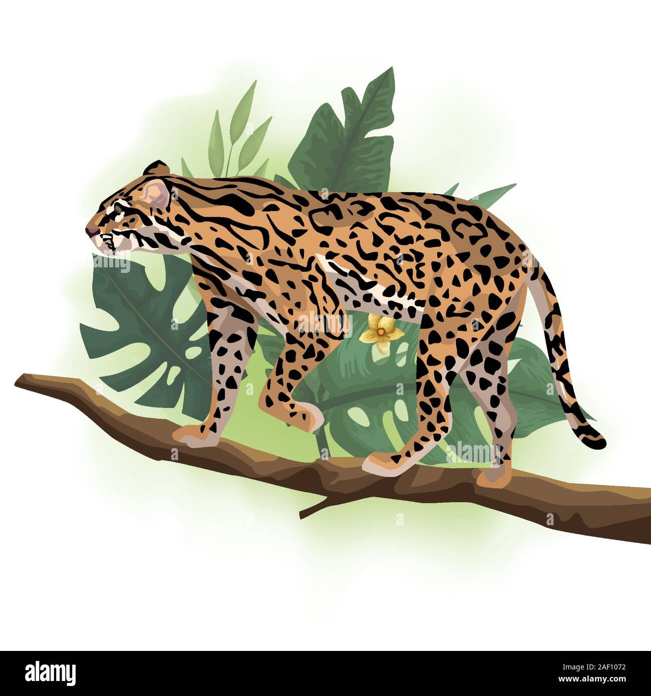 wild leopard in tree branch scene Stock Vector Image & Art - Alamy