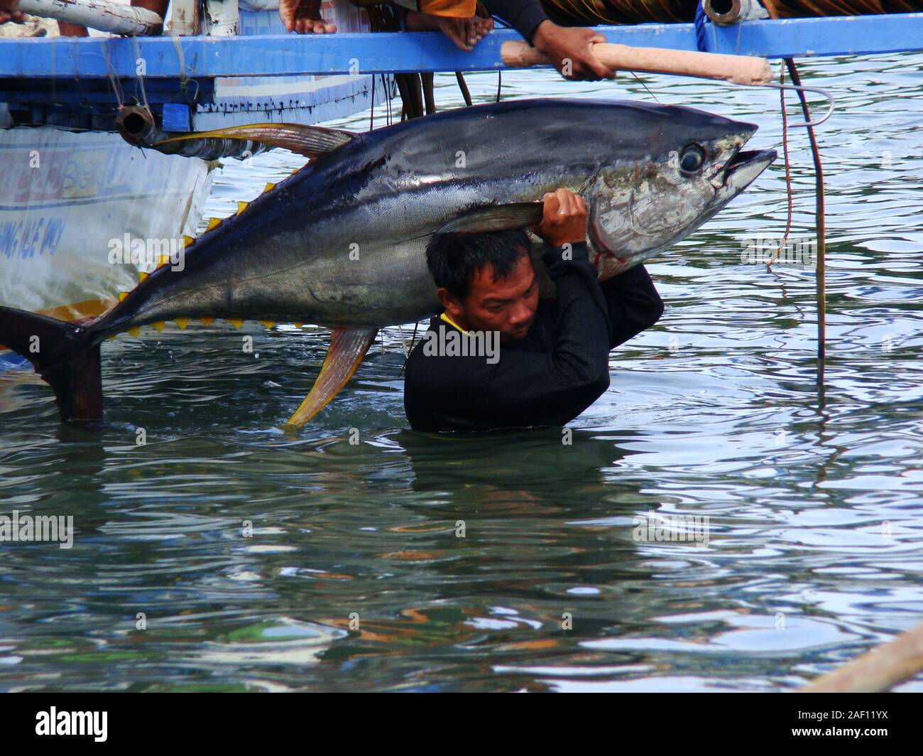 Sustainable fishing methods hi-res stock photography and images - Alamy