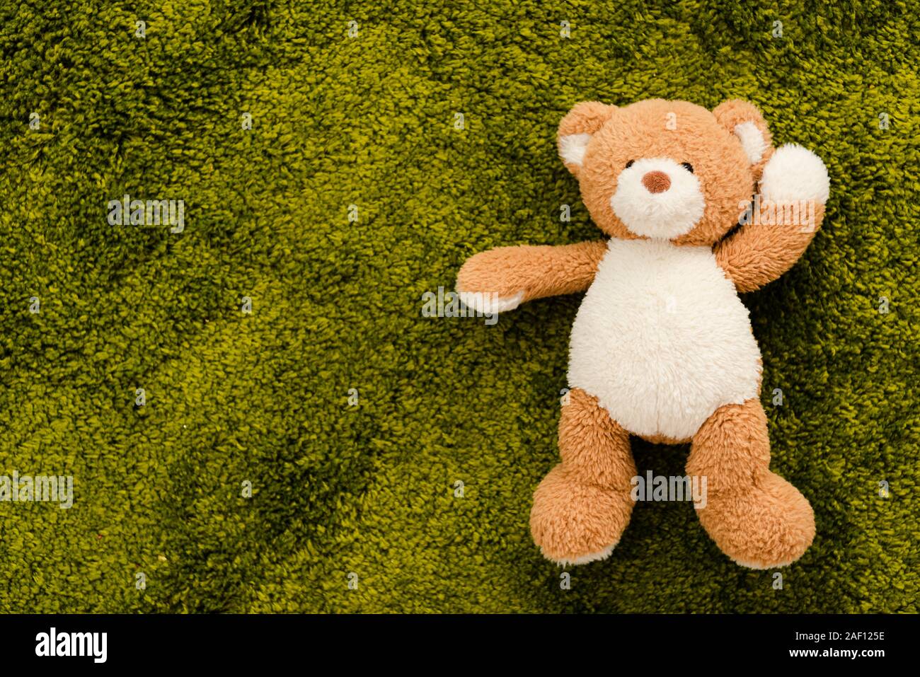 Top view of plush brown bear on green soft carpet Stock Photo - Alamy