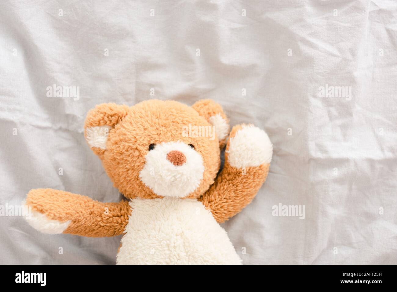 Top view of plush teddy bear on white fabric Stock Photo - Alamy