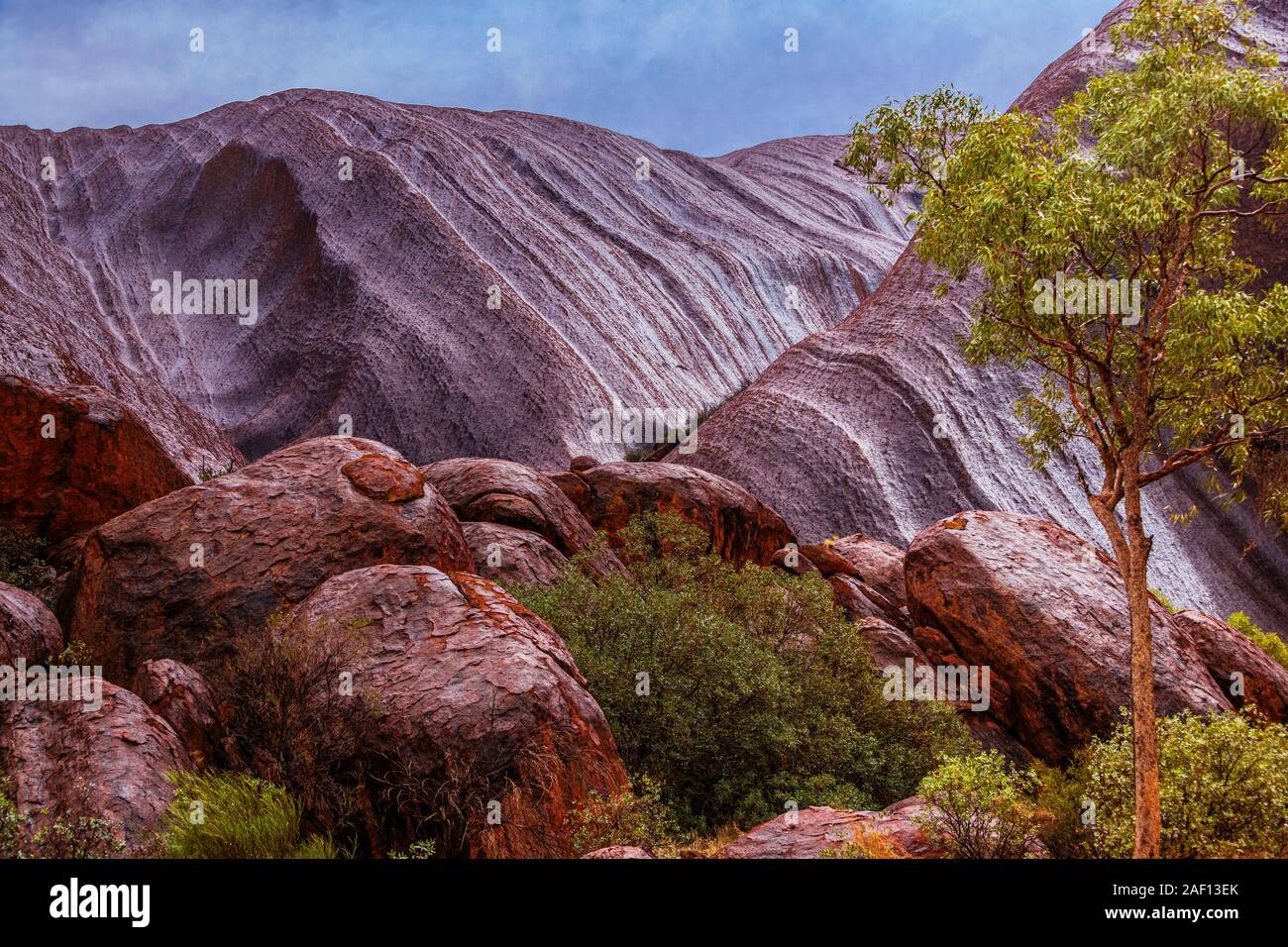 Wet uluru hi-res stock photography and images - Alamy