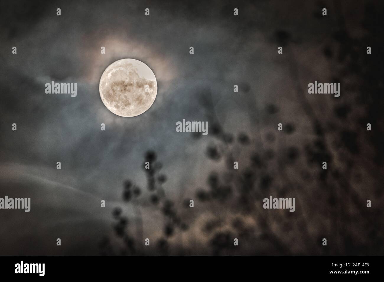 Dramatic Full Moon Over Forest Stock Photo - Alamy