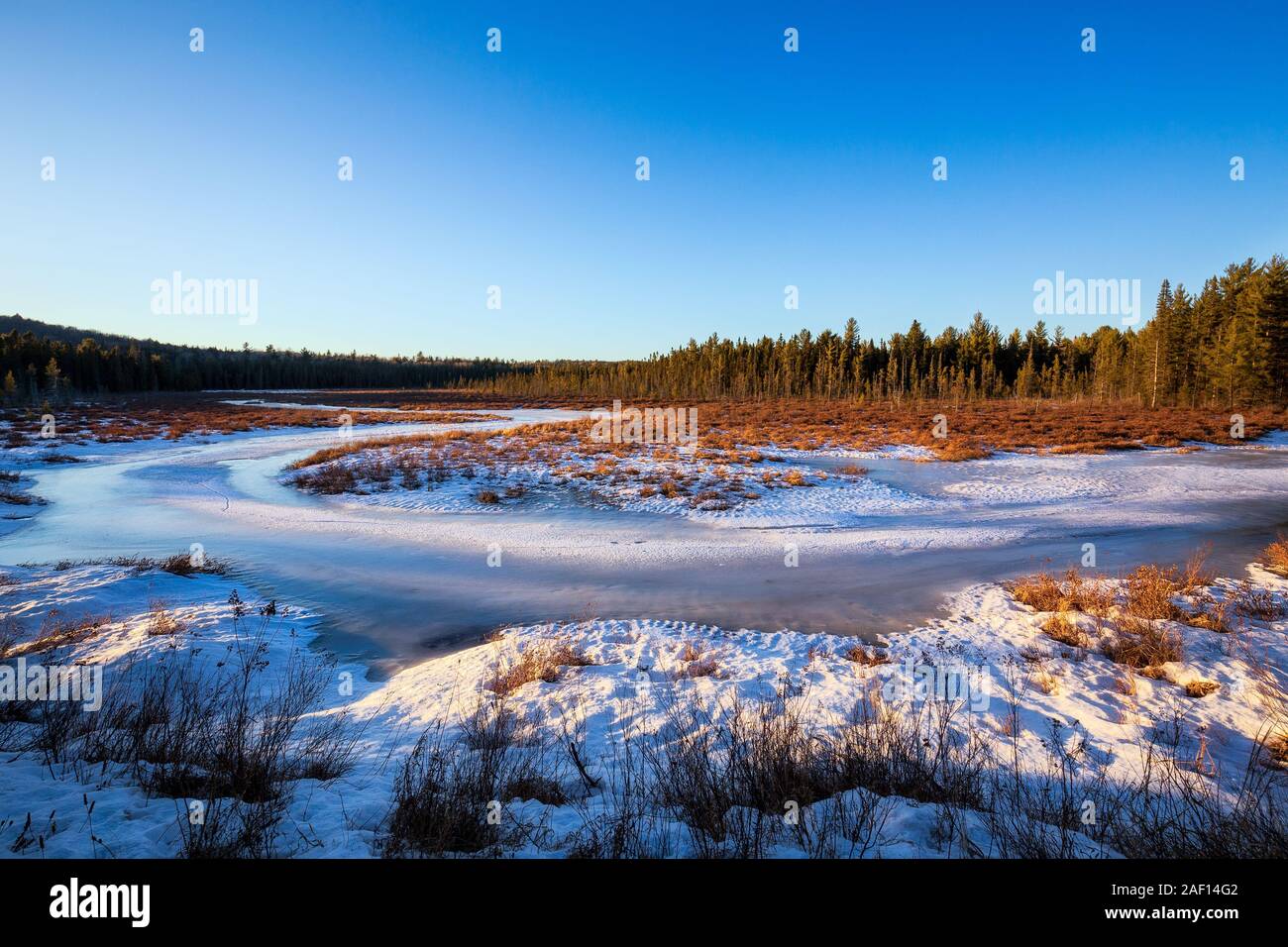 A snow covered bog with a winding river on a cold winter day in ...