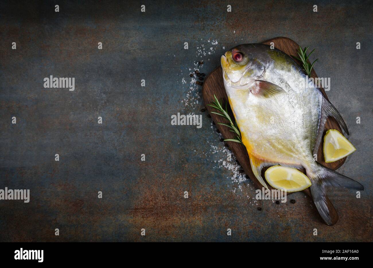 Indian butterfish hi-res stock photography and images - Alamy