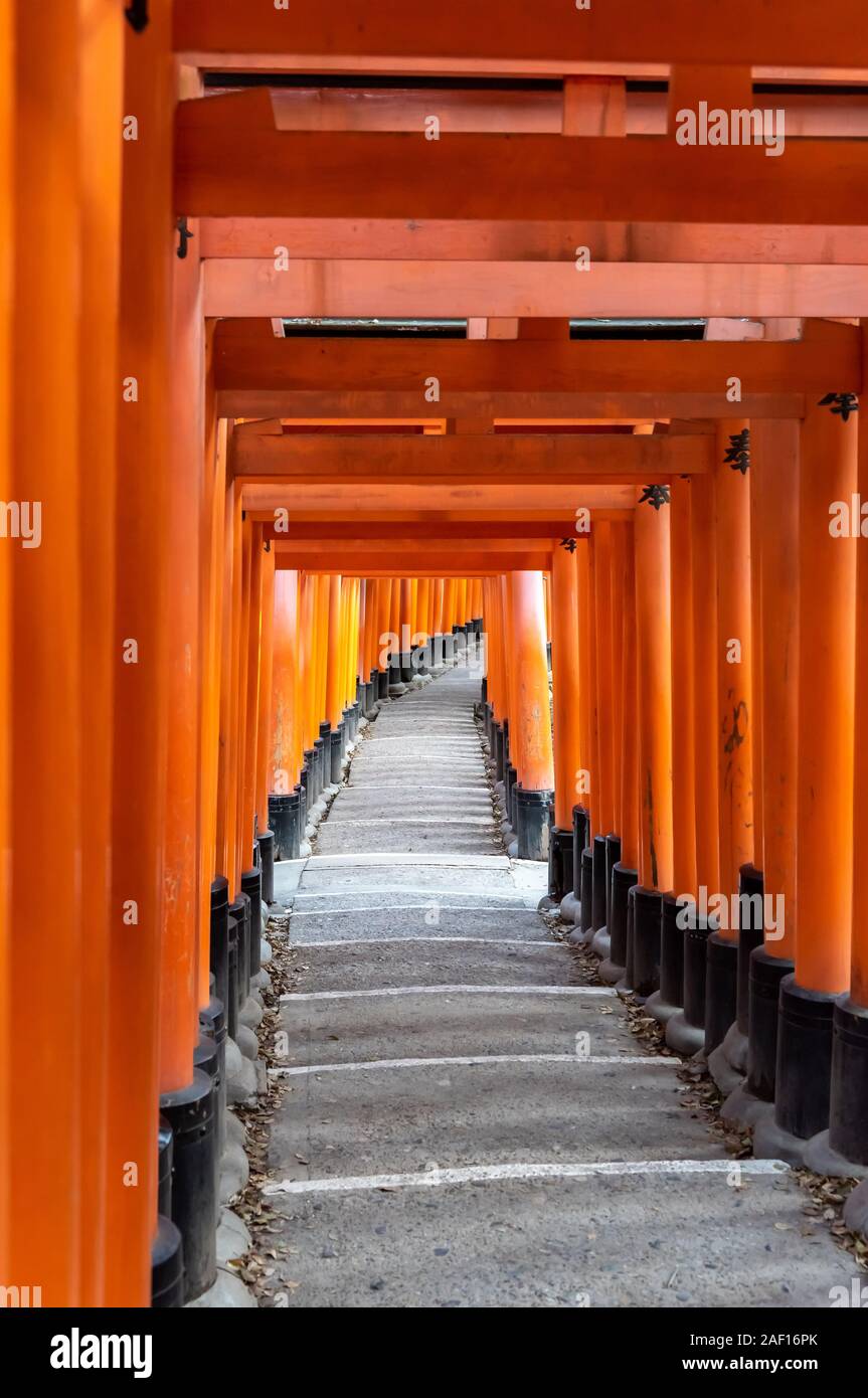 Famous torii gates kyoto hi-res stock photography and images - Alamy