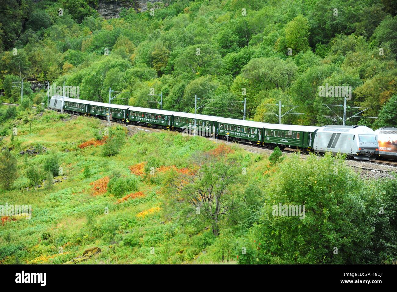 Locomotive of norwegian train in myrdal hi-res stock photography and images - Alamy