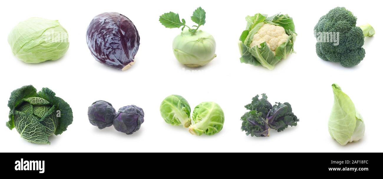 Collage Of Various Types Of Cabbage Isolated On White Stock Photo - Alamy