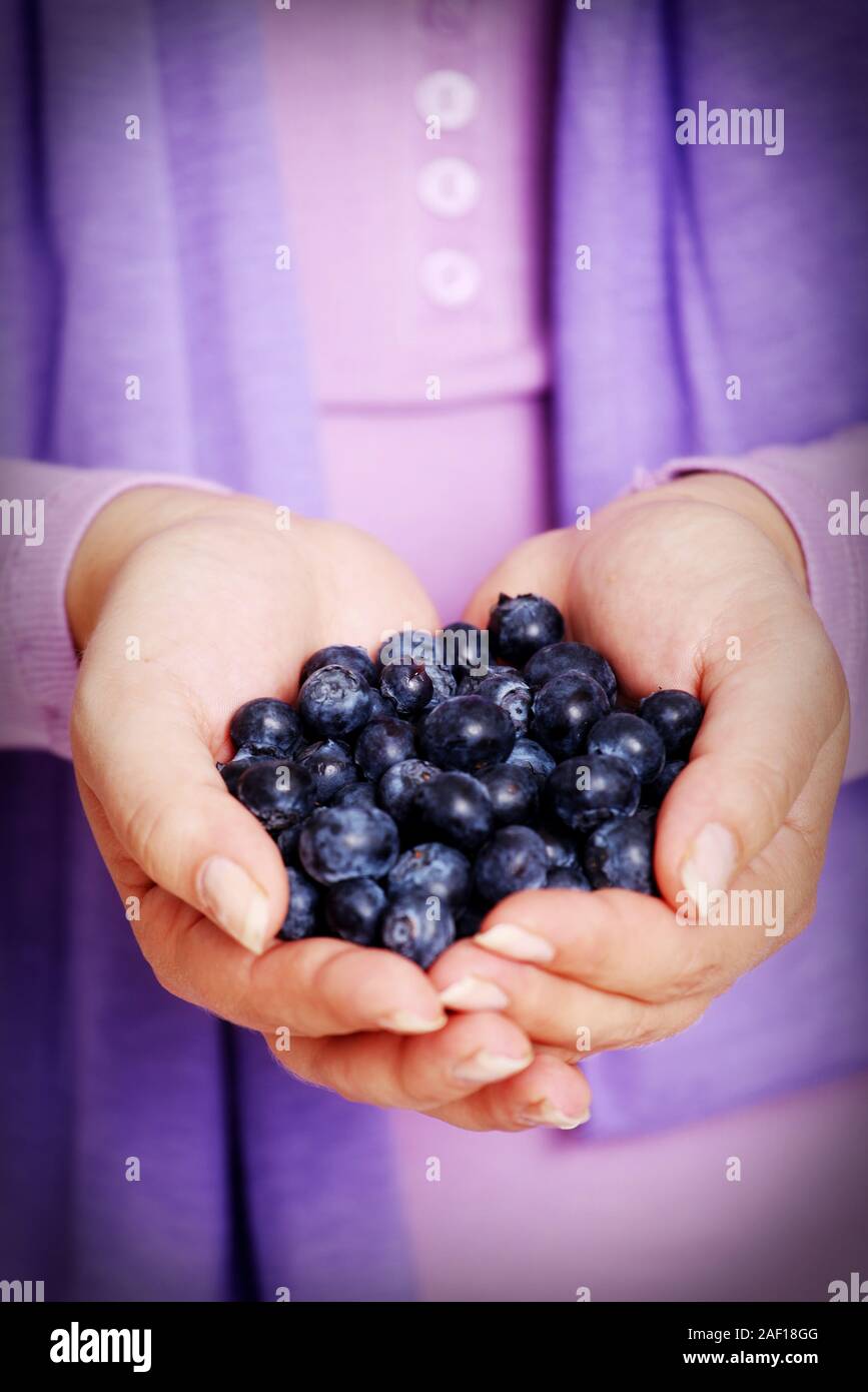 Female Hands Holding Blueberries Stock Photo - Alamy